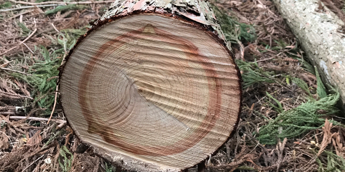 HERIO-DESIGN | ONGOING PROJECTS